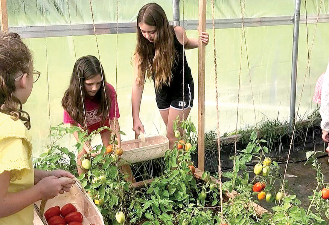 Pickens students enjoying produce grown at school | News, Sports, Jobs ...